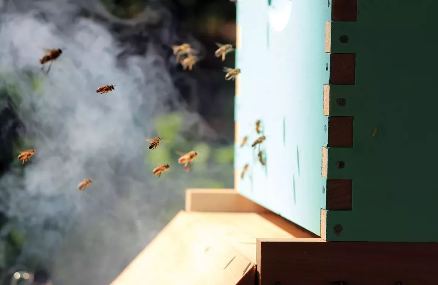 Hudson Valley Bee Supply | Hudson Valley | Chronogram Magazine