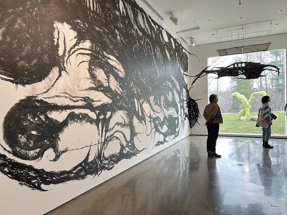 "Spillover" at the Hessel Museum of Art | Visual Art | Hudson Valley ...